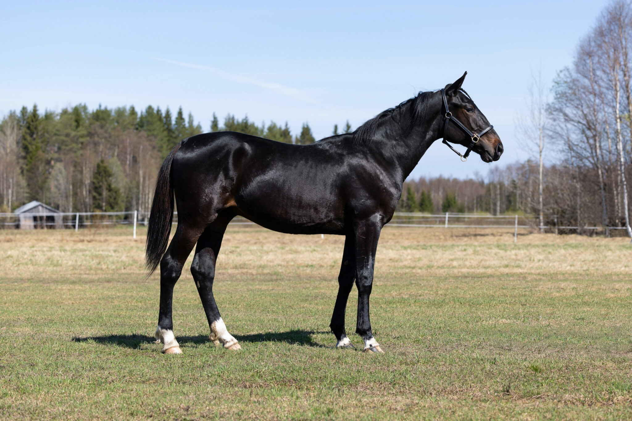 Captain Garde - Menhammar OnlineSales